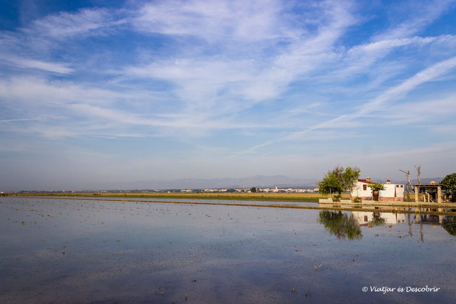 El Delta de l'Ebre: 7 racons que cal visitar - Viatjar és Descobrir